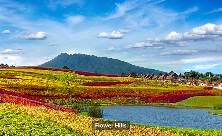 Vimala Hills | Vila Premium, Resor, & Hotel di Puncak Bogor